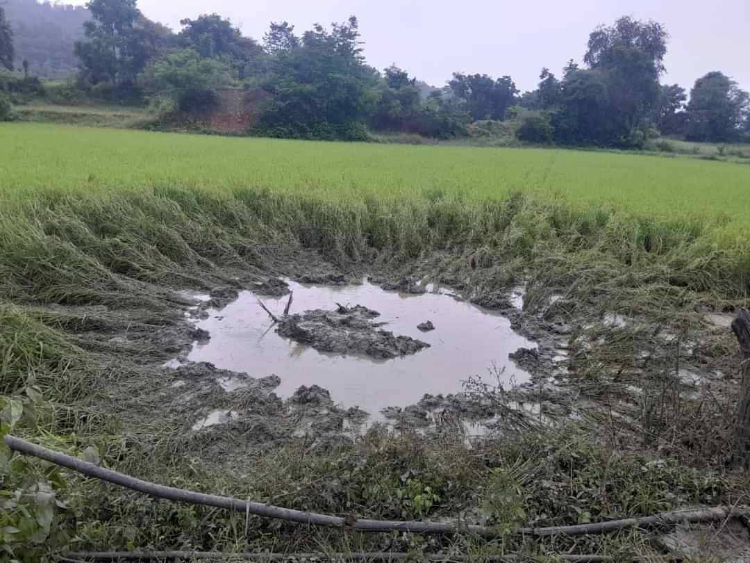 ထီးလင်းမြို့ စစ်ကောင်စီလေကြောင်းတိုက်ခိုက်မှု ဒေသခံ ၁ဦးသေဆုံး ၆ဦးဒဏ်ရာရ Bur Mizzima Com