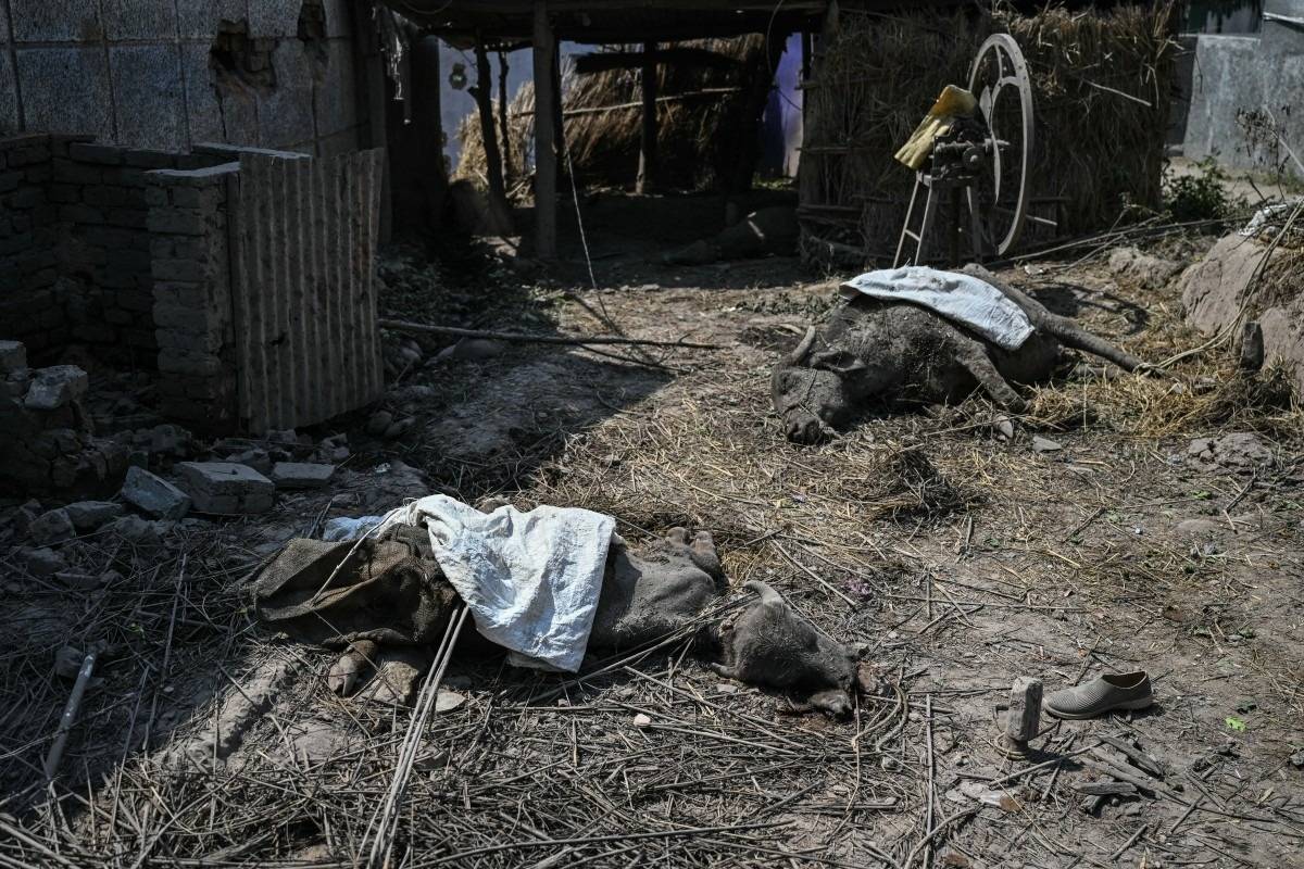 အိန္ဒိယနှင့်ပါကစ္စတန်တို့အပစ်ရပ်သဘောတူညီမှုရရှိ သို့သော် အပစ်ရပ်ချိုးဖောက်သည်ဟု အပြန်အလှန်စွပ်စ